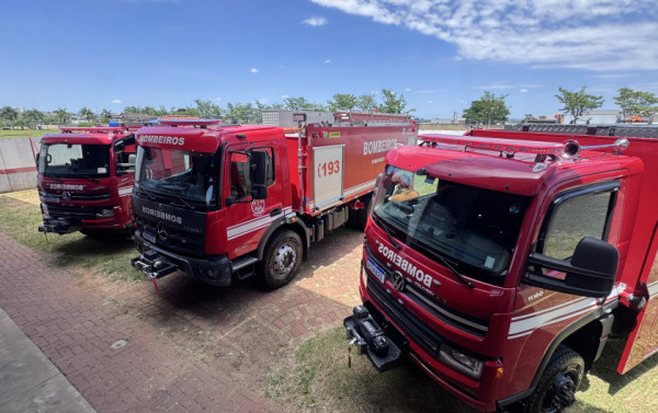 Medicamentos serão entregues conforme o agendamento