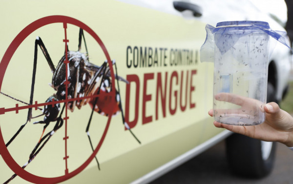 Suspeitas de dengue caem 96% entre cidadãos do DF