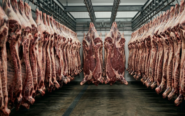 União Europeia veta carnes brasileiras por regra sanitária